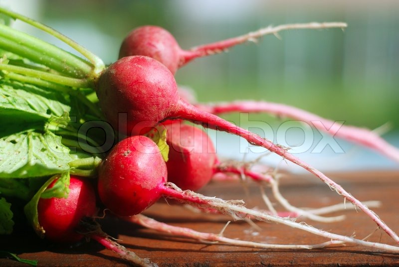 Frische rote Radieschen Nahaufnahme im ... | Stock Bild | Colourbox