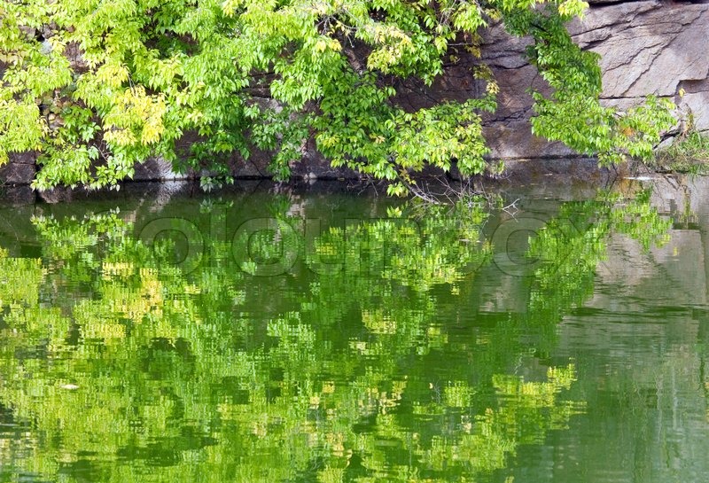 Pond water surface with reflection of ... | Stock image | Colourbox