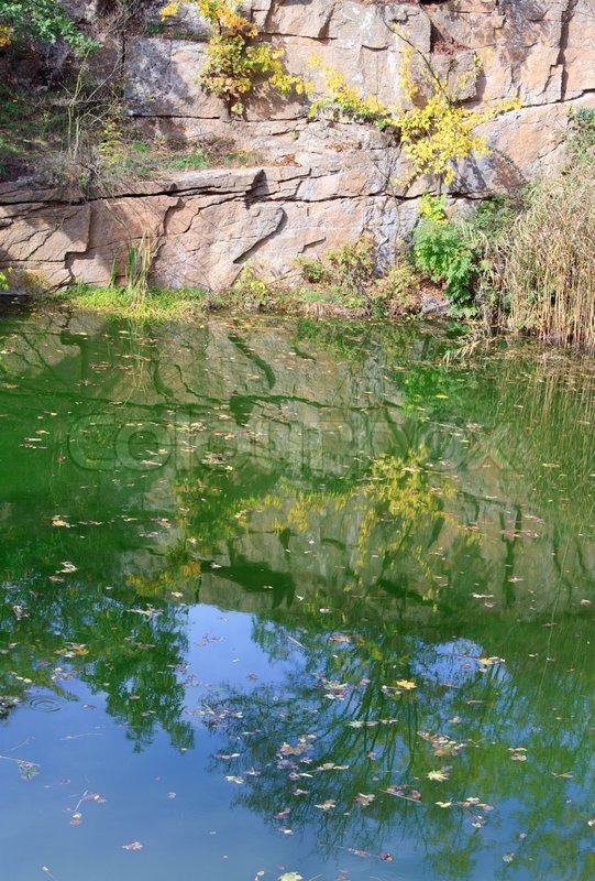 Pond water surface with reflection of ... | Stock image | Colourbox