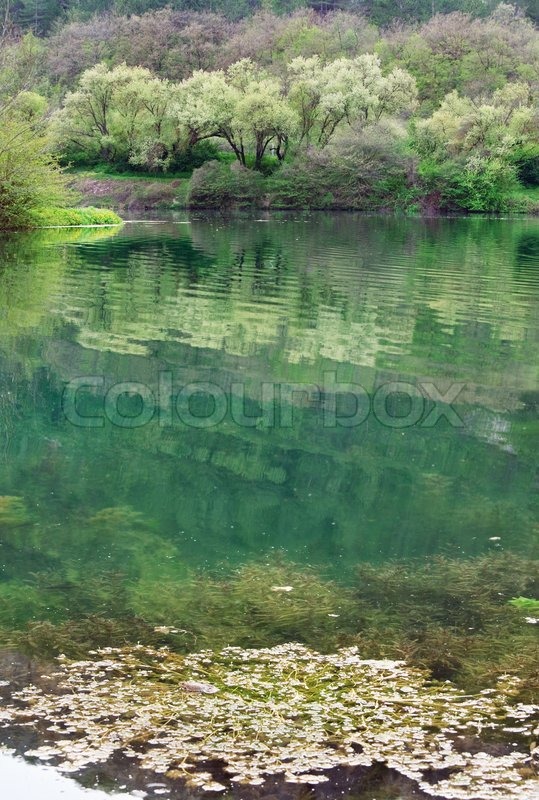 Wunderschönen See mit Wasserpflanzen ... | Stock Bild | Colourbox
