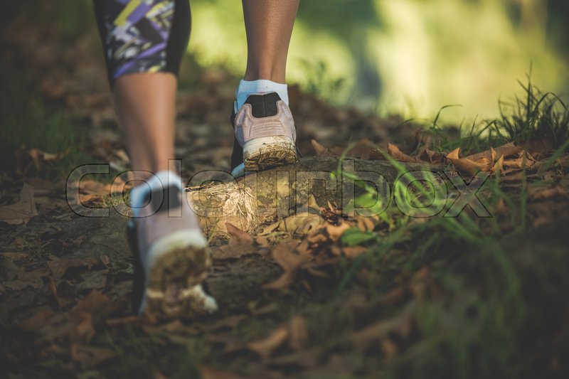 Woman feet in shoes on a forest path on ... | Stock image | Colourbox