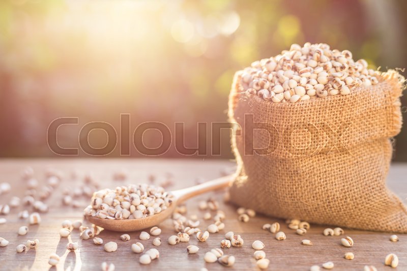 Close up millet rice or millet grains ... | Stock Photo | Colourbox