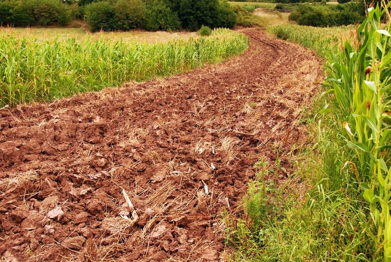 Plowed field, ploughed brown earth ... | Stock Photo | Colourbox