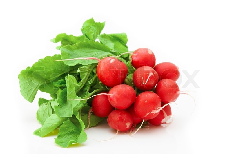 Bundt radiser | Stock foto | Colourbox