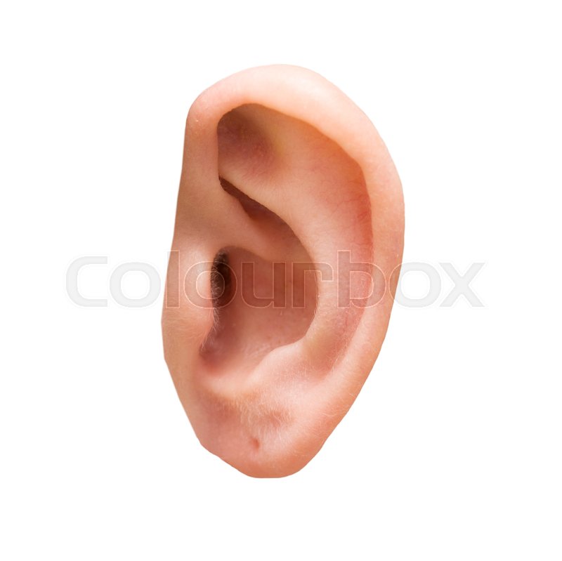 Female ear close-up isolated on a white | Stock image | Colourbox
