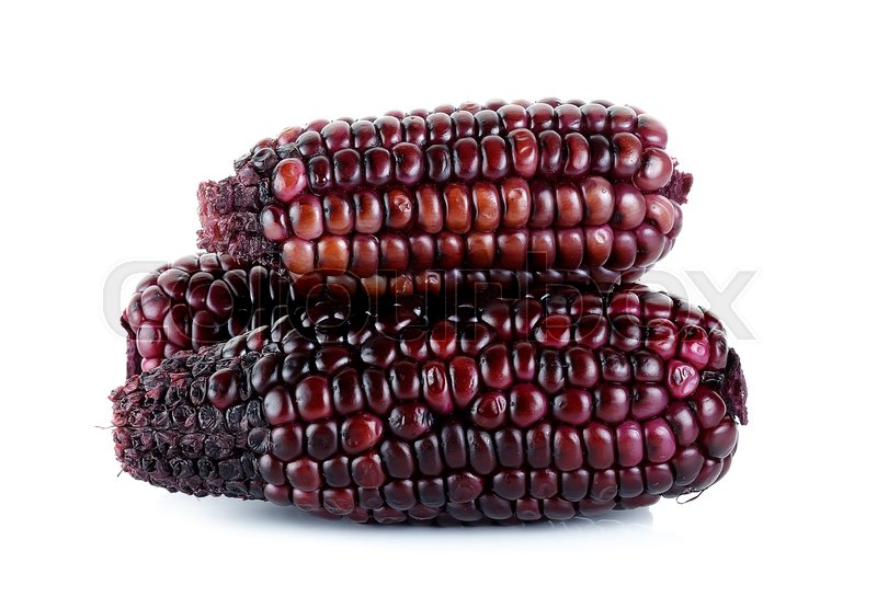 Red corn isolated on the white ... | Stock image | Colourbox