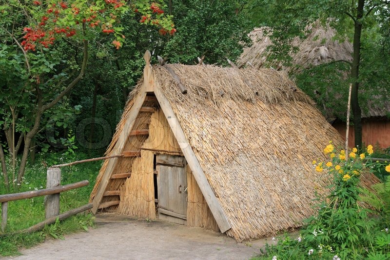Old thatch shed on country homestead ... | Stock image | Colourbox