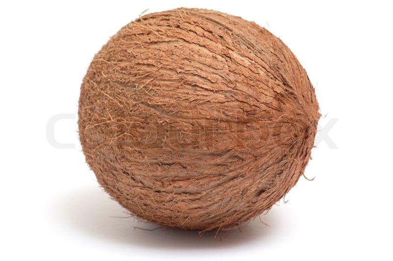 One nice coconut isolated on a white ... | Stock image | Colourbox