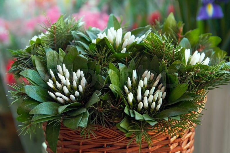 Spring holiday snowdrop flower bouquets ... | Stock image | Colourbox