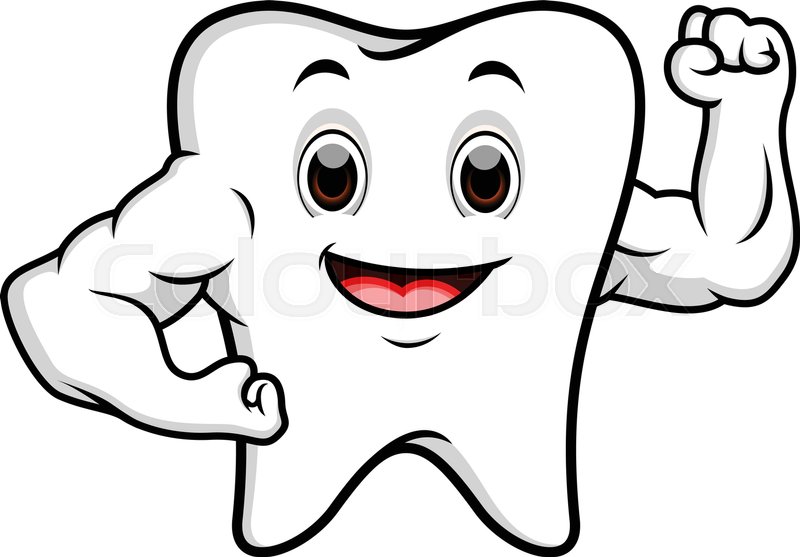 Illustration of Strong tooth cartoon | Stock vector | Colourbox
