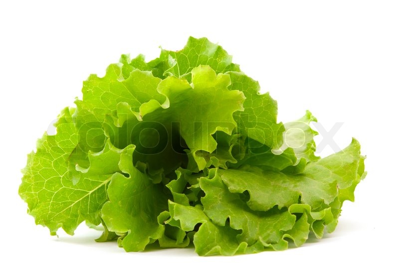 Salatblätter auf einem weißen ... | Stock Bild | Colourbox