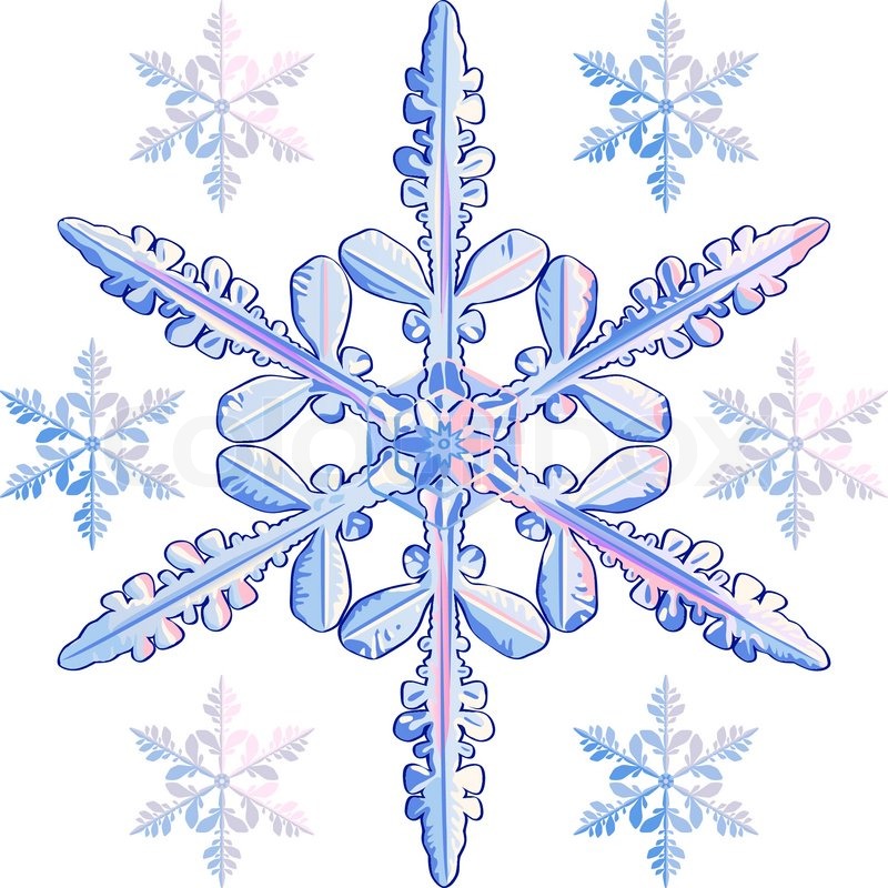 Set of snowflakes most detailed, and ... | Stock vector | Colourbox