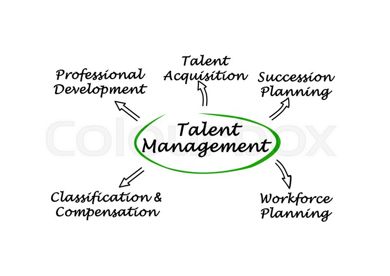 Talent Management | Stock image | Colourbox