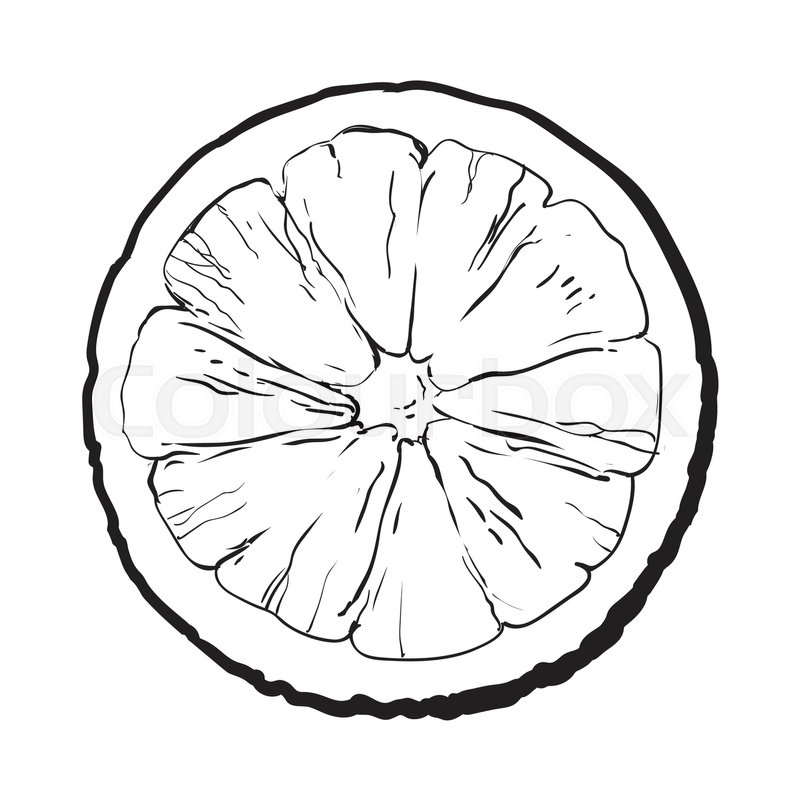 Half Lime Clipart