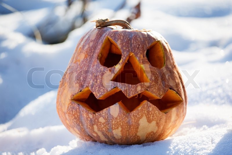 Halloween pumpkin on the snow | Stock image | Colourbox