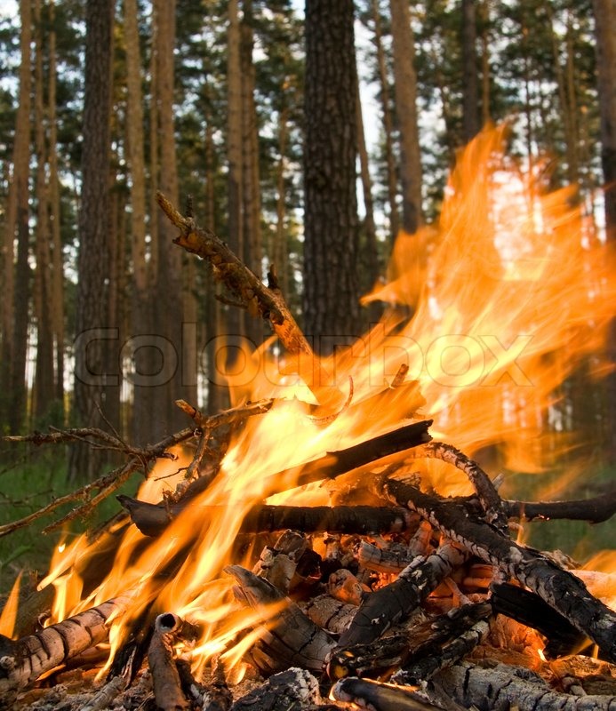 Flammen und Glut in Lagerfeuer | Stock Bild | Colourbox