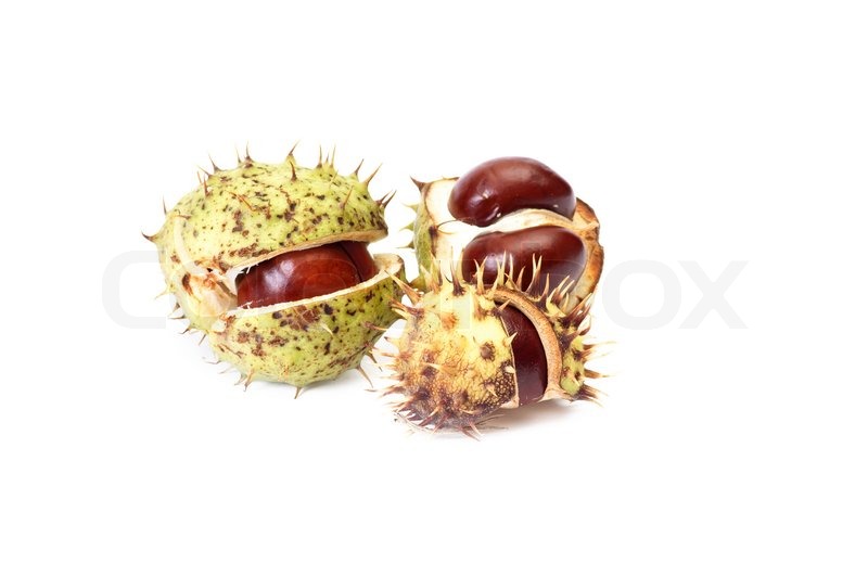 Fun Herbst Kastanien auf einem weißen ... | Stock Bild | Colourbox