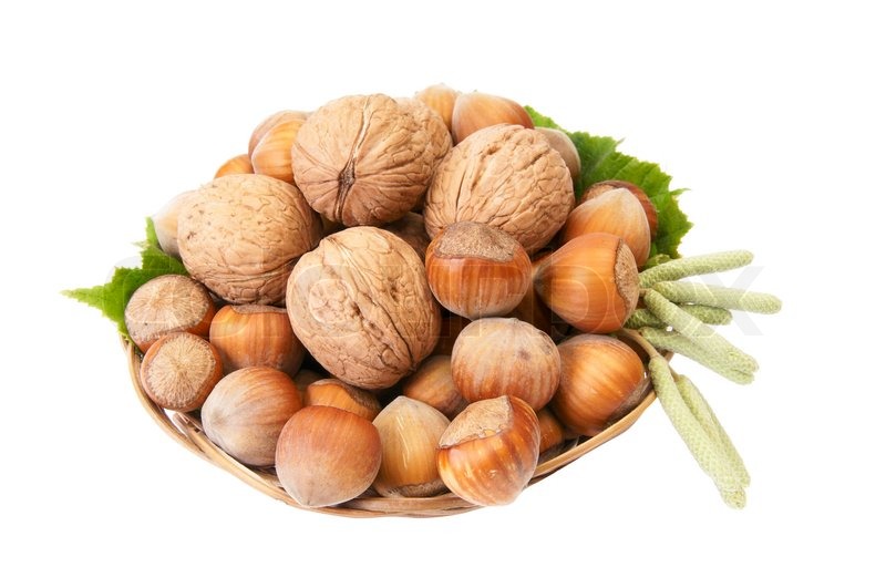 Basket full of autumn nuts with buds ... | Stock image | Colourbox