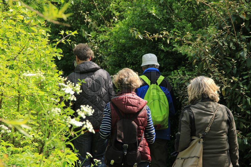 The tourists are walking with the guide ... | Stock image | Colourbox