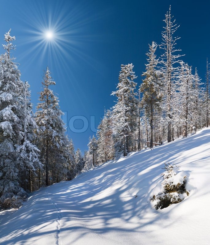 Smukt vinterlandskab i Karpaterne | Stock foto | Colourbox