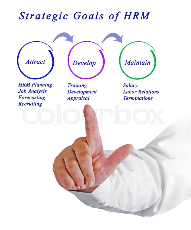 Strategic Goals of HRM | Stock Photo | Colourbox