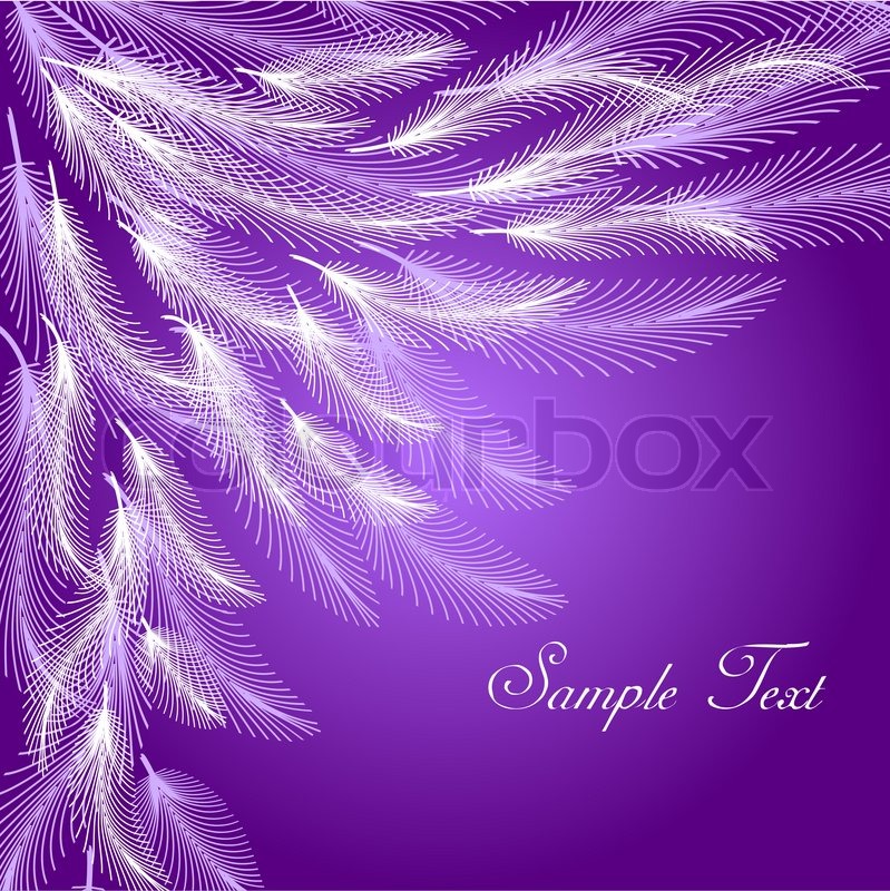 Vector Color Feathers Background