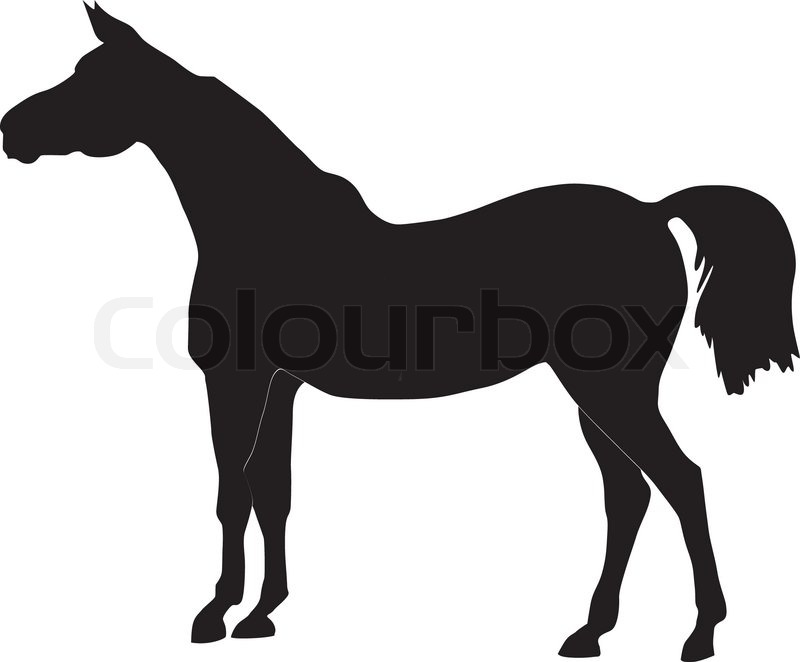 Vector illustration of a horse | Stock vector | Colourbox