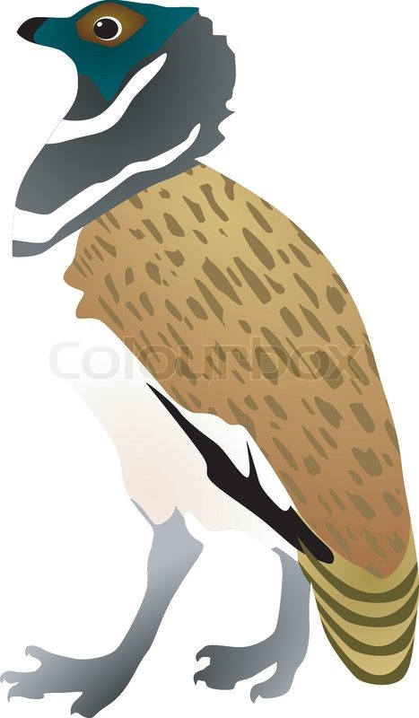 Vector illustration of bustard | Stock vector | Colourbox