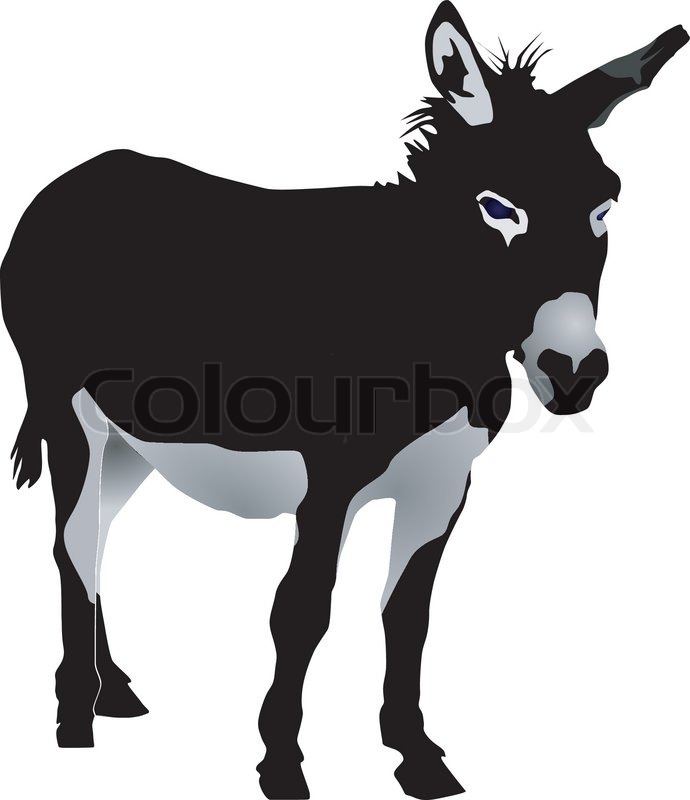Vectors donkey | Stock Vector | Colourbox