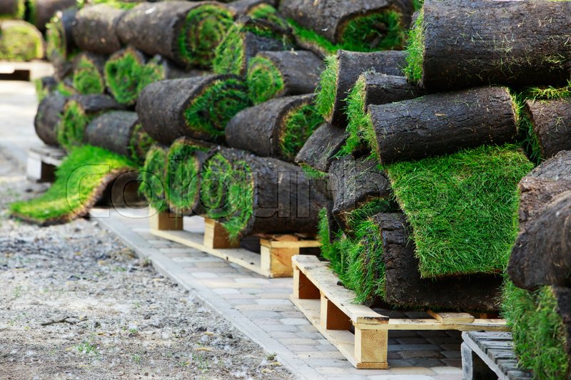 Stacks Of Sod Rolls For New Lawn Stock Image Colourbox 6446