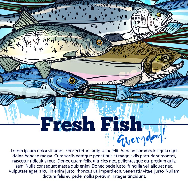 Seafood and fish catch poster. Vector ... | Stock vector | Colourbox