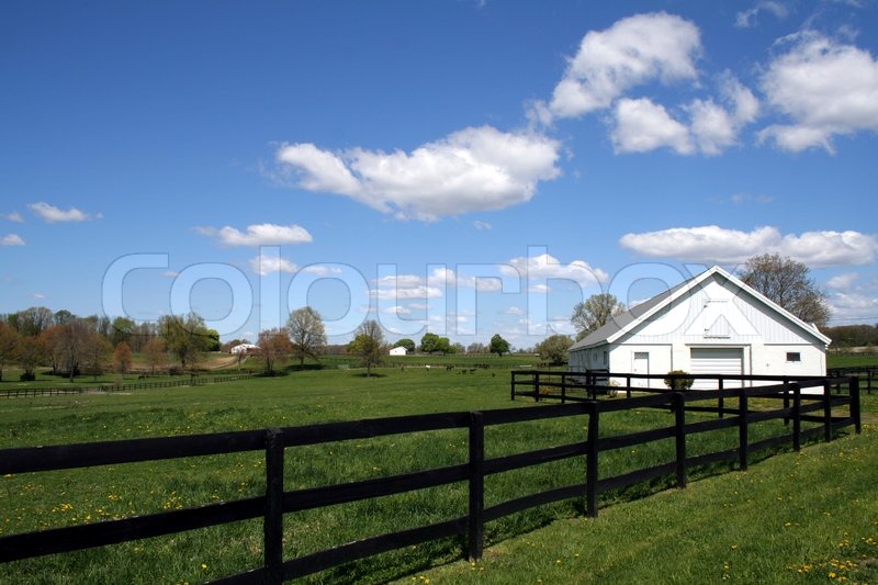 Beautiful scenic horse farm landscape | Stock image | Colourbox