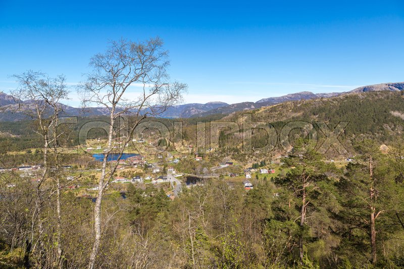 Beautiful forest in Norway in a sunny ... | Stock image | Colourbox