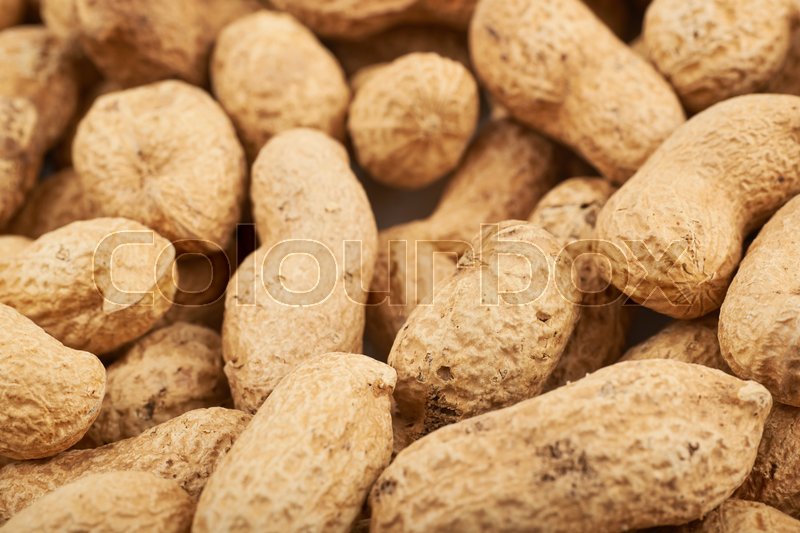 Erdnuss, saisonal, schmackhaft | Stockfoto | Colourbox