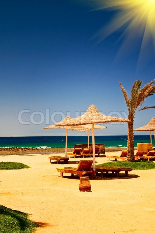 Beautiful tropical beach in the Egypt | Stock Photo | Colourbox