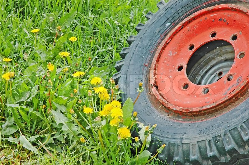 The old tractor tire lying in the grass | Stock image | Colourbox