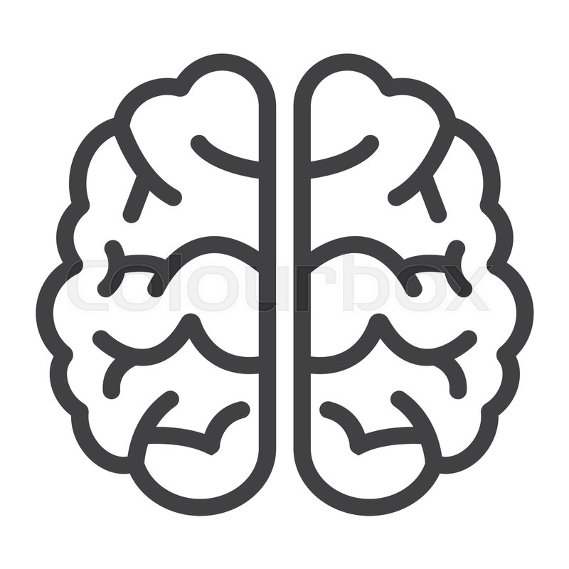 Brain line icon, brainstorm and idea, ... | Stock-Vektor | Colourbox