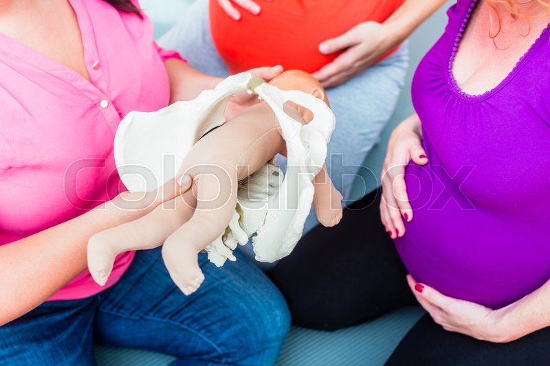Explaining birth process with the help ... | Stock image | Colourbox