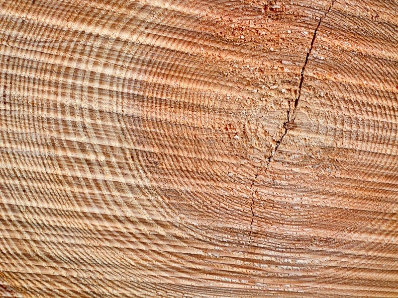 Freshly cut wooden stud at the lumber ... | Stock image | Colourbox