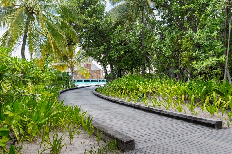 Wooden bridge walkway within the resort ... | Stock image | Colourbox