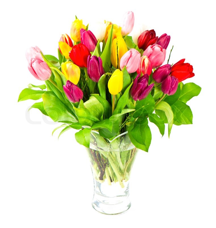 Bouquet of fresh assorted tulip flowers | Stock image | Colourbox