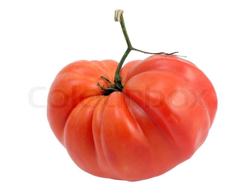 Big red tomato isolated over white ... | Stock image | Colourbox