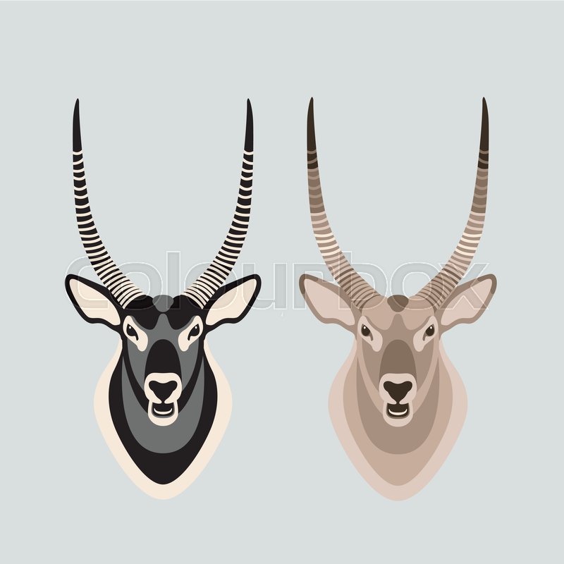 Antelope head set vector illustration ... | Stock vector | Colourbox