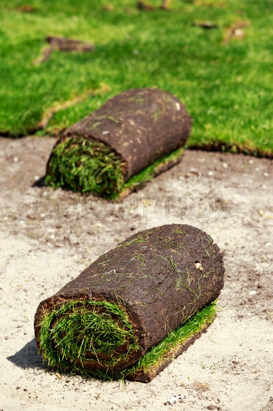 The stacking of roll green lawn grass | Stock image | Colourbox