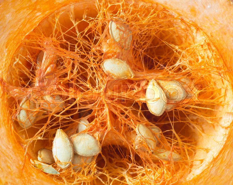 The inside of the pumpkin closeup | Stock image | Colourbox