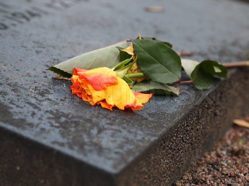 Rose on a Grave | Stock image | Colourbox