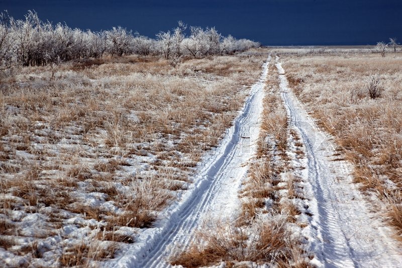 Country road in winter on the prairie | Stock image | Colourbox