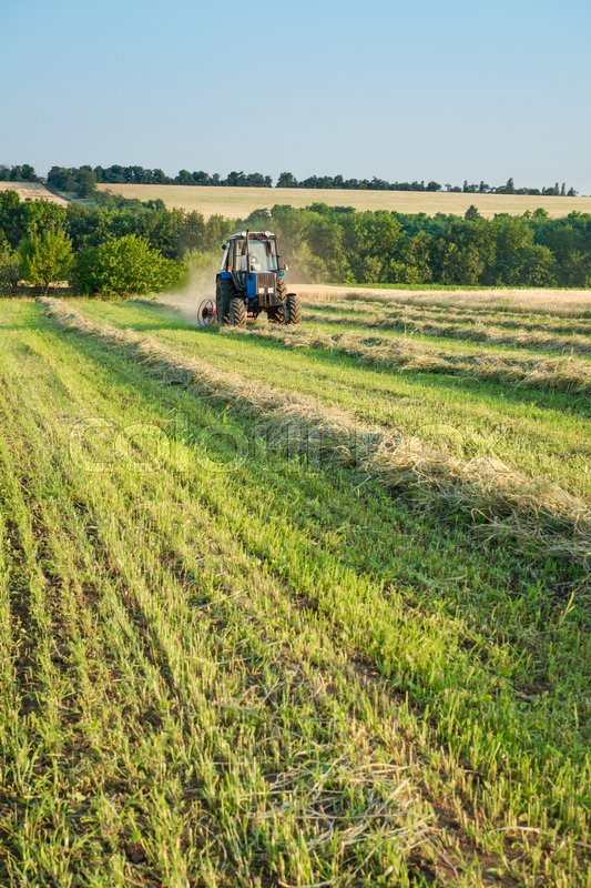 Tractor working on the farm field. ... | Stock image | Colourbox
