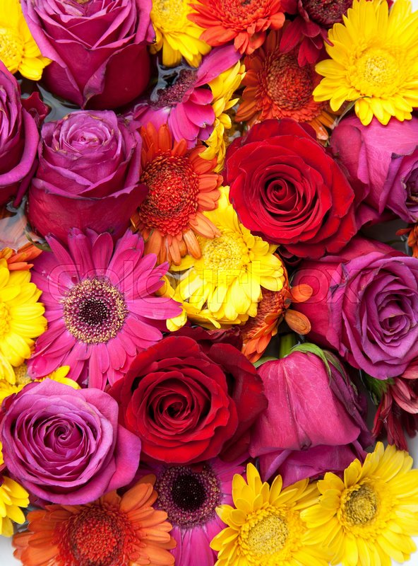 Flowers tightly packed together | Stock image | Colourbox