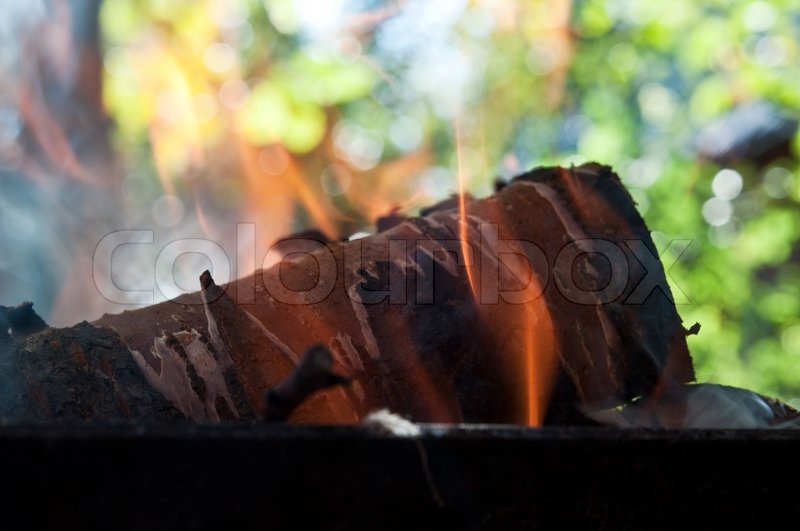 Dry sticks of wood burn in the fire ... | Stock Photo | Colourbox